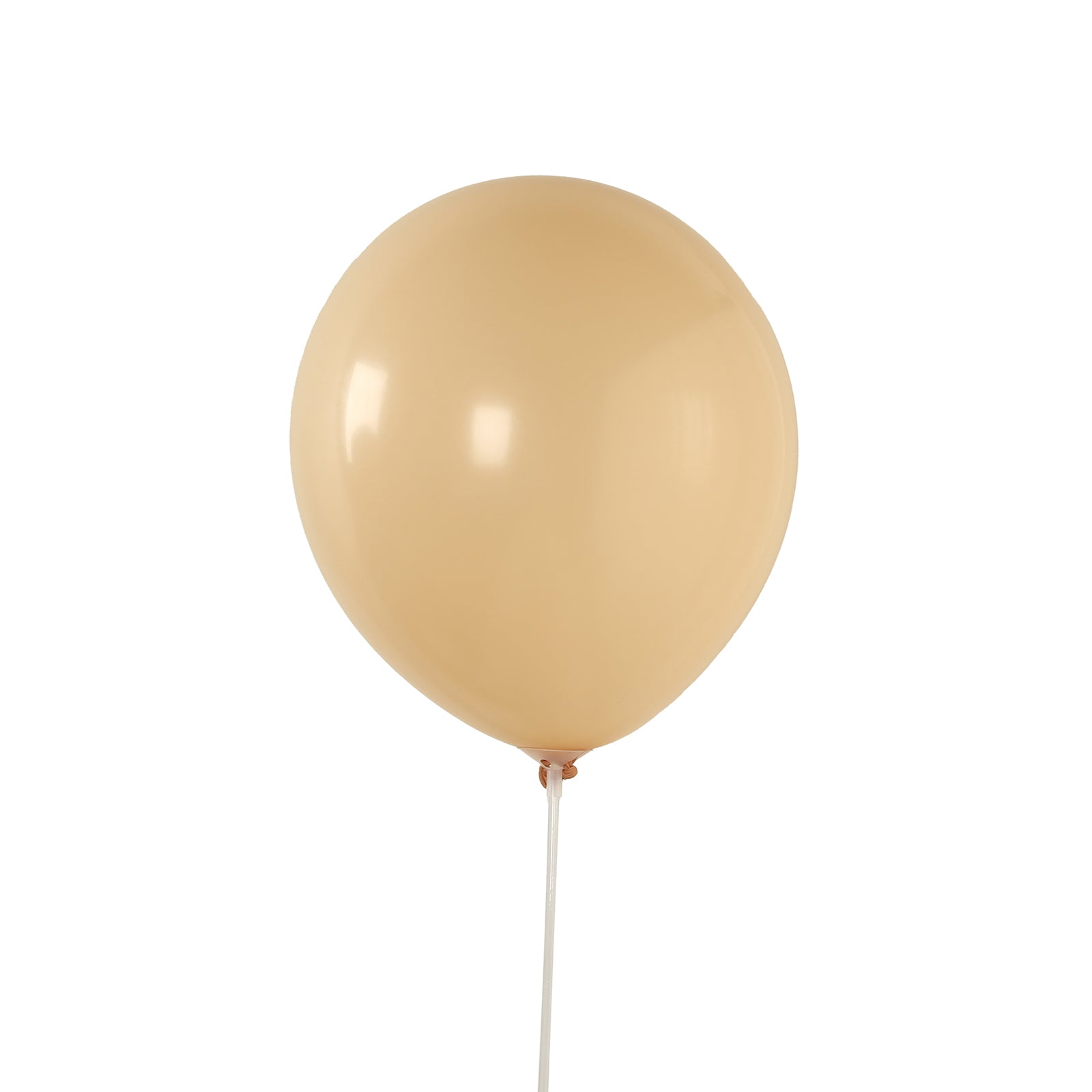 50 pk 12in Matte Peach Biodegradable Balloons | TCFLinen